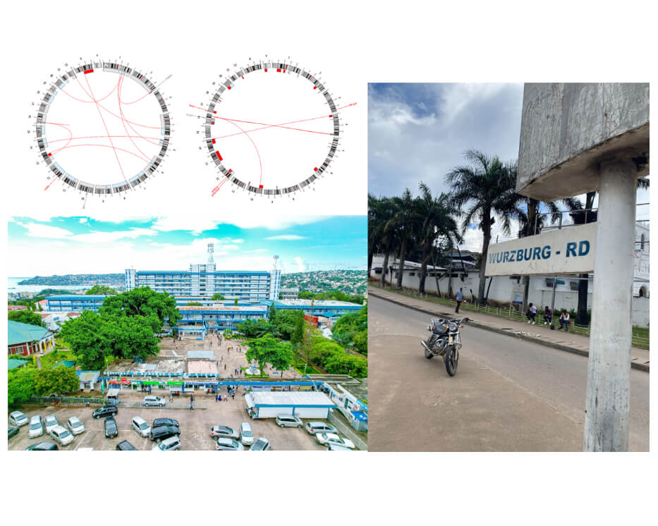 Erste Einblicke in die Tumorbiologie des Myeloms in Afrika mithilfe von ...